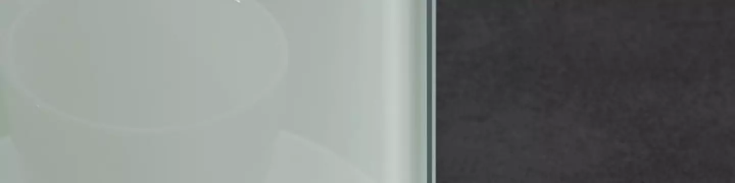 PLANILAQUE® EVOLUTION | Saint-Gobain Glass