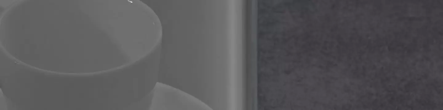 PLANILAQUE® EVOLUTION | Saint-Gobain Glass