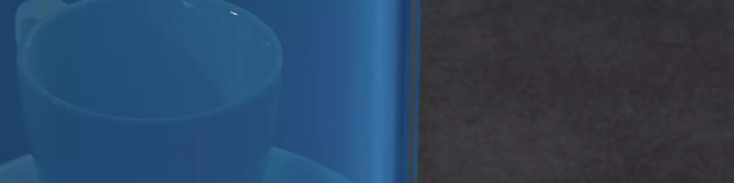 PLANILAQUE® EVOLUTION | Saint-Gobain Glass